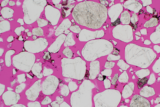 Interactive Graphic - CUSP West